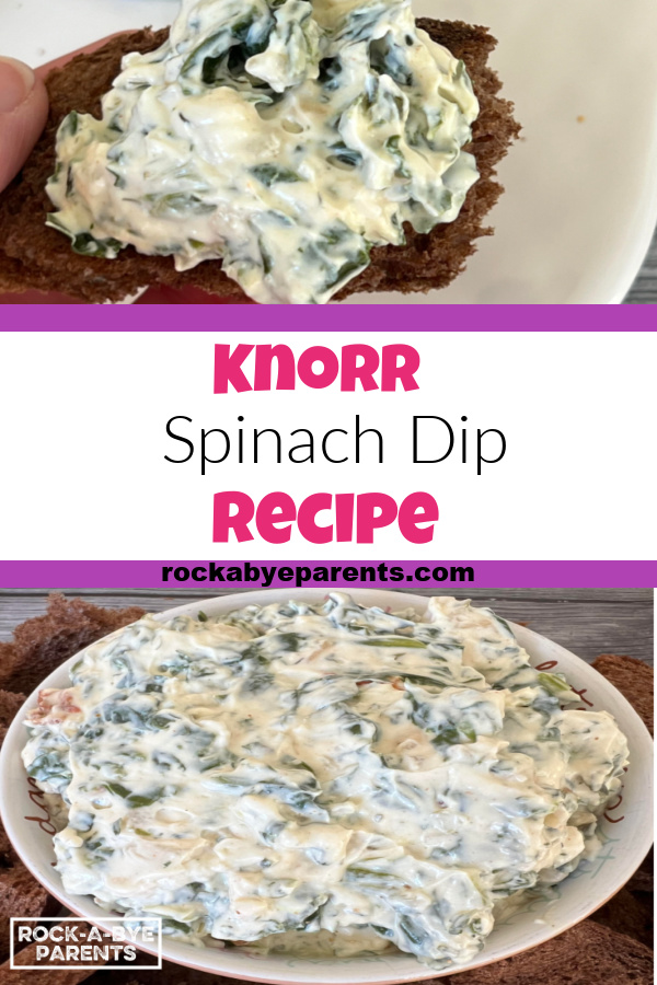 Knorr Spinach Dip Recipe - Rock-A-Bye Parents